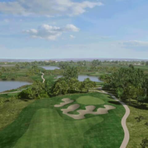 The 10 Best Golf Simulator Software | An Ultimate Guide