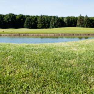 How To Put Backspin On A Golf Ball: A Comprehensive Guide