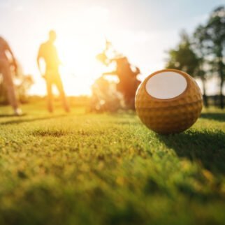 The 10 Best Golf Balls for Distance | [2025 Tests]