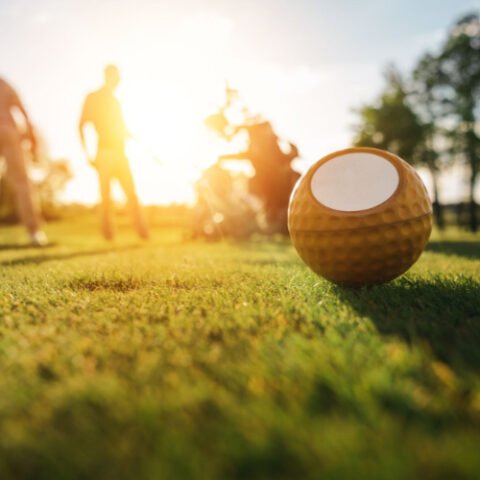 The 10 Best Golf Balls for Distance | [2025 Tests]