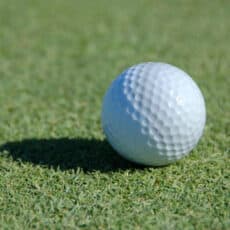 The 10 Best Golf Balls for Distance | [2025 Tests]